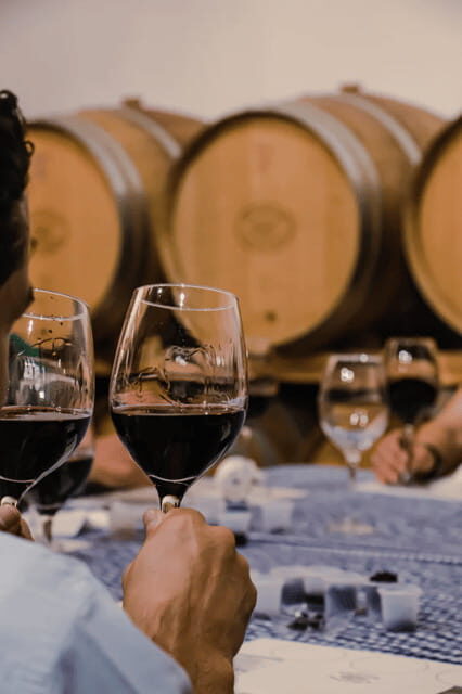 Chihuahua: Winery Tasting Experience - A Breakdown of the Itinerary