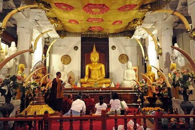 Child-oriented Family tour in Sri Lanka & Beach Holidays - by Minivan - 2 weeks - Who Will Love This Tour?