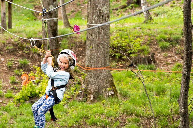 Children Daily Ticket for Adventure Park in Gravedona - How the Price Reflects the Value