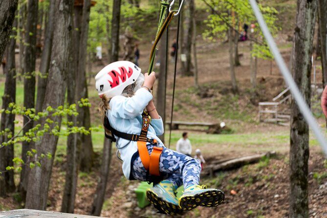 Children Daily Ticket for Adventure Park in Gravedona - Who Will Love This Experience?