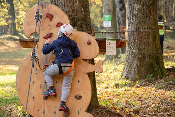 Children Daily Ticket for Adventure Park in Gravedona - Final Thoughts: Why Visit Lake Como Adventure Park?