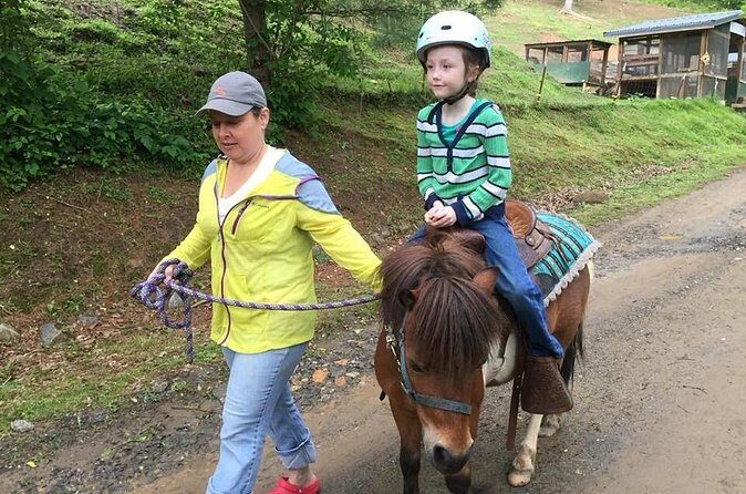 Children Mini Horse Rides - Practical Tips for Your Visit