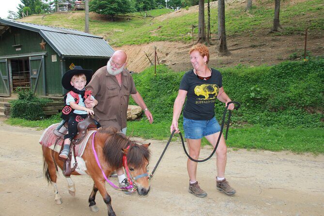 Children Mini Horse Rides - Who Should Consider This?