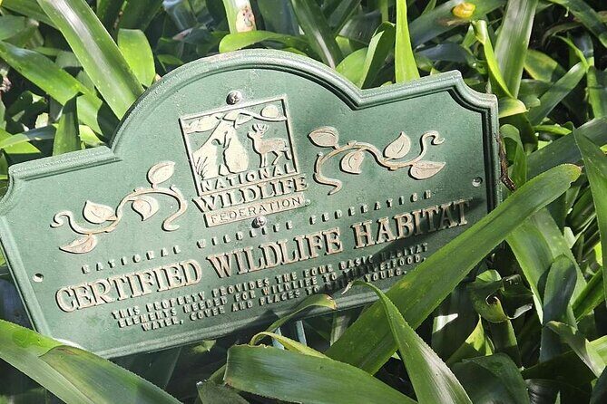 Children's Botanical Garden in St. Thomas USVI - Key Points