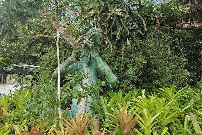 Children's Botanical Garden in St. Thomas USVI - The Experience from Other Travelers’ Perspectives