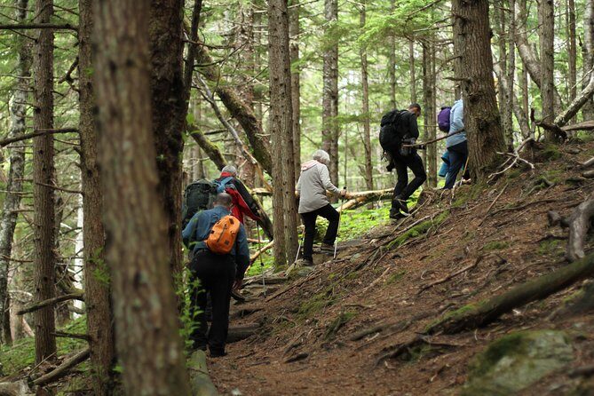Chilkat Inlet Coastal Hike in Haines - Introducing the Chilkat Inlet Coastal Hike