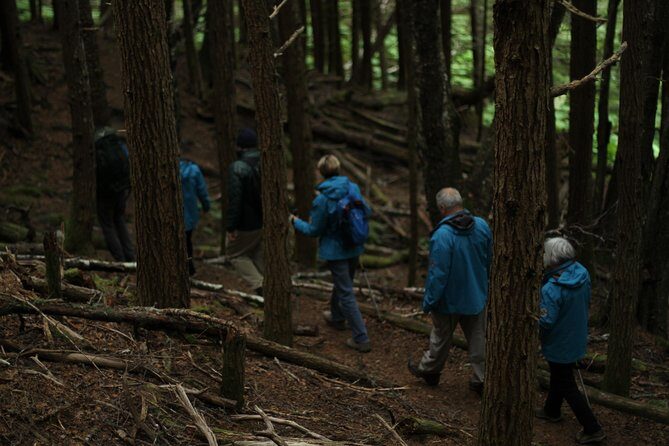 Chilkat Inlet Coastal Hike in Haines - The Value in Context