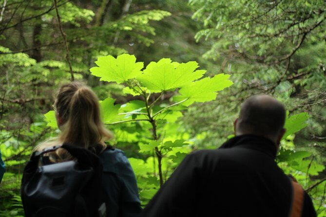 Chilkat Inlet Coastal Hike in Haines - FAQs