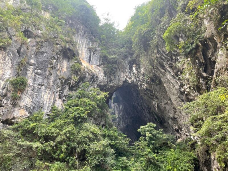 Chimelong Hot Spring Forest Park Entry Ticket - Key Points