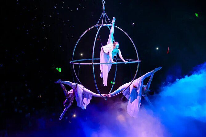 Chimelong International Circus Ticket with Transfer - Who Should Consider This Tour?