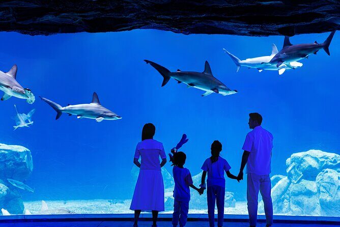 Chimelong Spaceship Theme Park - FAQ