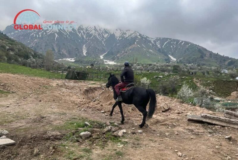 Chimgan Day Tour from Tashkent - Who Will Enjoy This Tour?