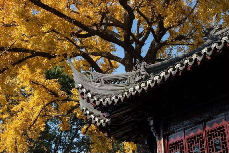 China Hollywood and Yiwu-the offline Temu commercial heaven - Starting Point and Transportation