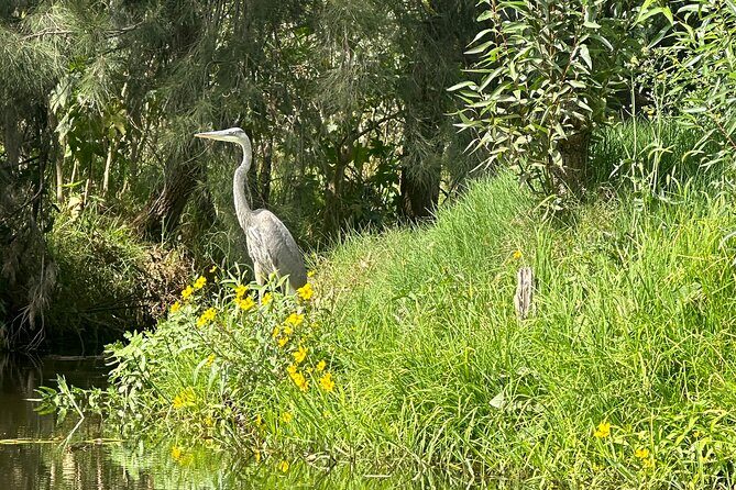 Chinampas Eco Immersion Mexico City - Key Points