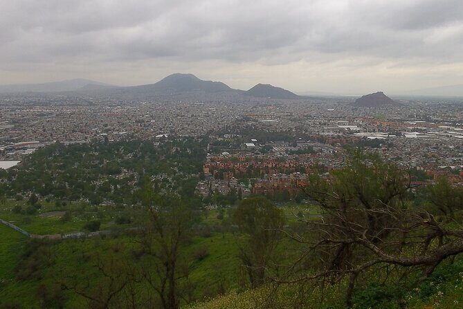 Chinampas Eco Immersion Mexico City - Authentic Experiences and Traveler Insights