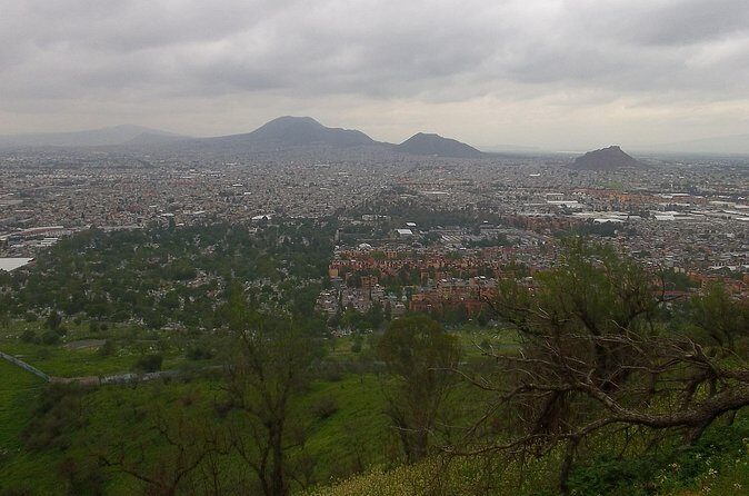 Chinampas Eco Immersion Mexico City - The Sum Up