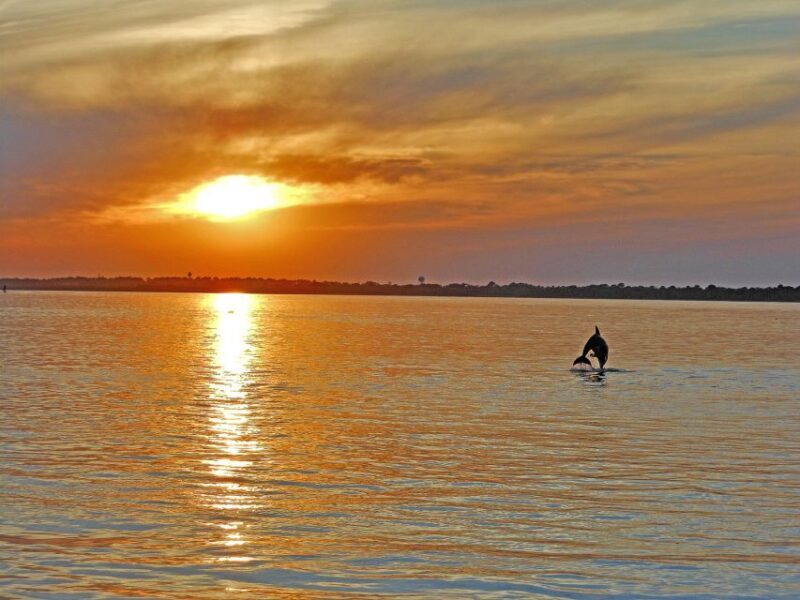 Chincoteague: Assateague Island Sunset Boat Cruise - Exploring the Chincoteague: Assateague Island Sunset Boat Cruise