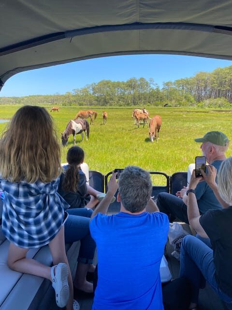 Chincoteague: Premier Pony & Wildlife Small Group Boat Tour - The Voyage Begins: What to Expect