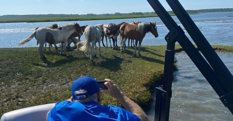 Chincoteague: Premier Pony & Wildlife Small Group Boat Tour - FAQ