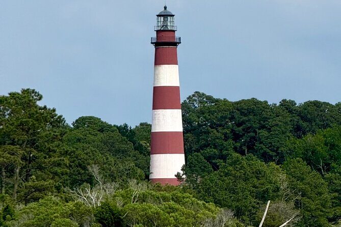Chincoteague Wildlife Sunset Boat Tour - Frequently Asked Questions (FAQs)
