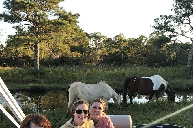 Chincoteague's Up The Bay Pony and Wildlife Tour by Boat - A Deep Dive into the Experience