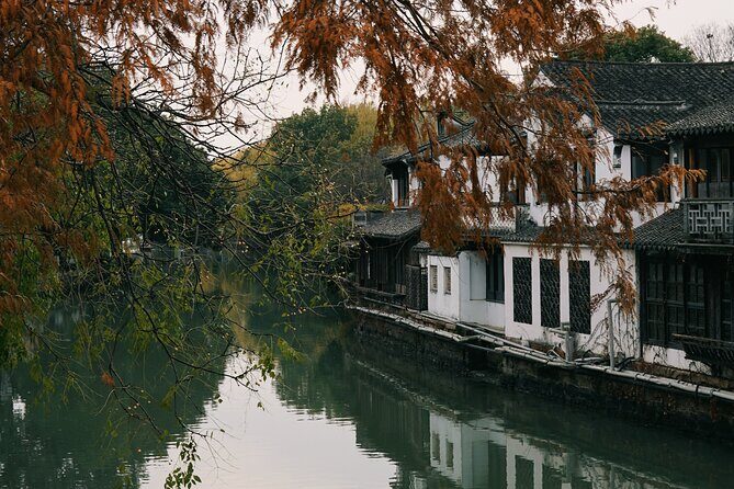 Chinese Painting with Local Master in Water Town - Who Should Consider This Tour?
