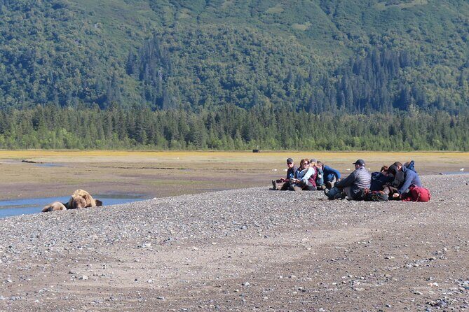 Chinitna Bay Bear Viewing Flight Tour from Talkeetna - The Sum Up