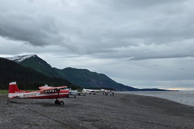 Chinitna Bay Bear Viewing Flight Tour from Talkeetna - FAQ
