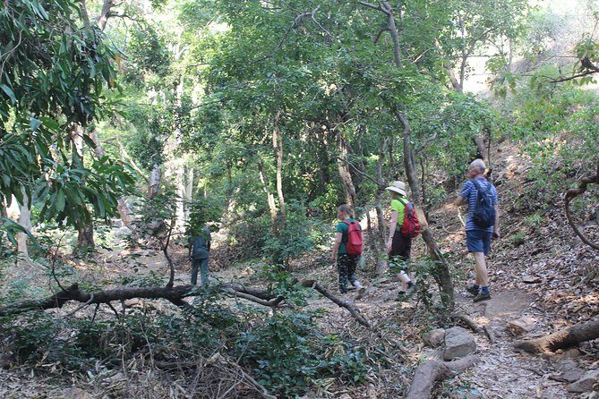 Chinnar wild valley experience day tour ( By Munnar Info) - Lakkam Waterfalls
