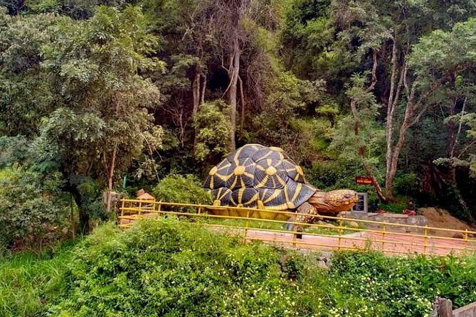 Chinnar wild valley experience day tour ( By Munnar Info) - Muniyaras Caves