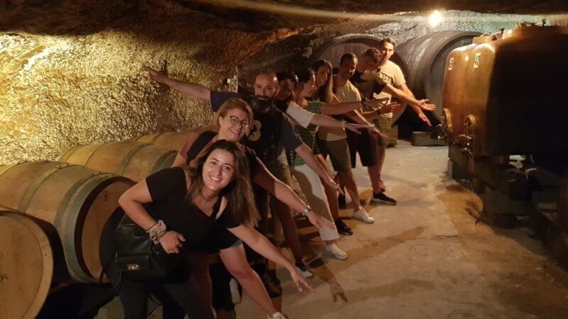 Chinon: Bicycle Tour of Saumur Wineries with Picnic Lunch - Key Points
