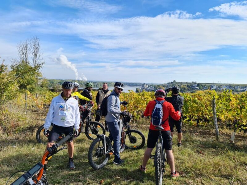 Chinon: Bicycle Tour of Saumur Wineries with Picnic Lunch - A Thoughtful Breakdown of the Tour