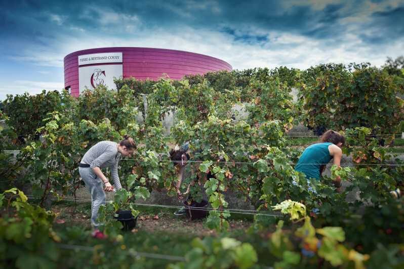 Chinon : Prestige Tours and Wine Tasting - What Makes This Tour Stand Out?