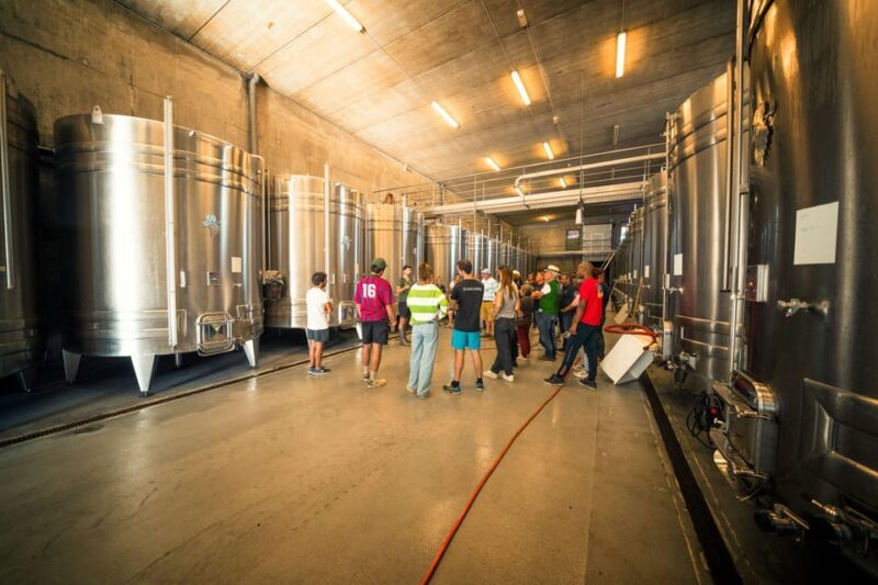 Chinon : Prestige Tours and Wine Tasting - Practical Details and Value