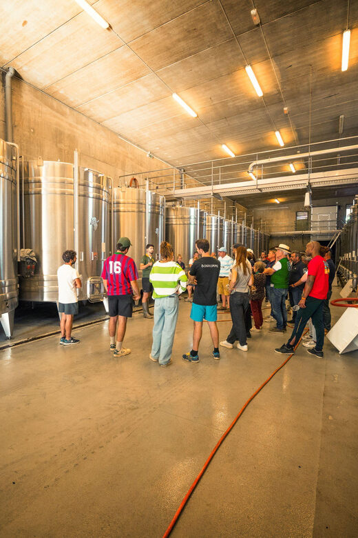 Chinon : Prestige Tours and Wine Tasting - Authenticity and Educational Value
