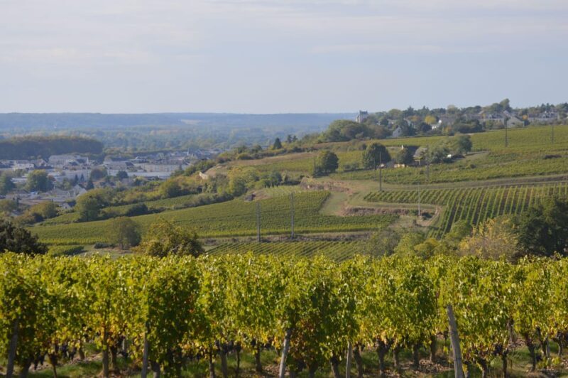 Chinon : Prestige Tours and Wine Tasting - Who Is This Tour Best For?
