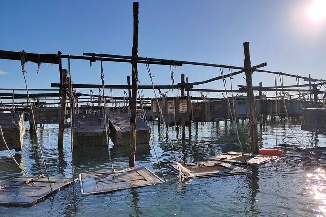 Chioggia : Aquaculture Secrets Tours of the Lagoon - Who Should Consider This Tour?