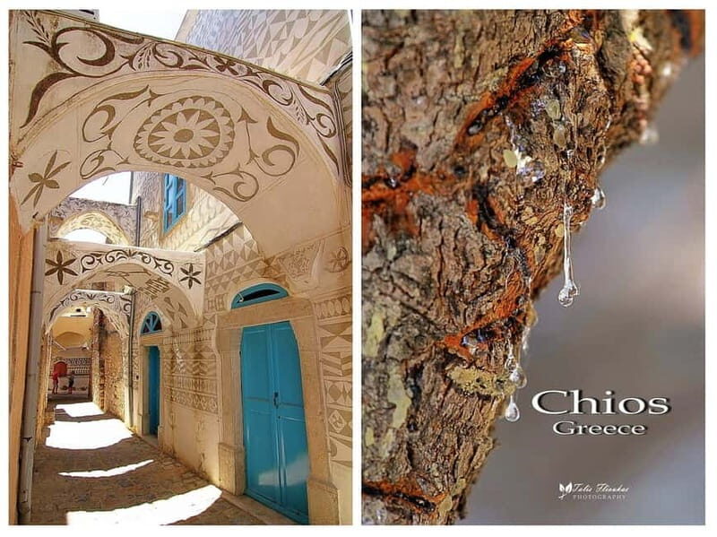 Chios: Masticha Villages Half Day Tour - The Allure of Chios’ Masticha Villages