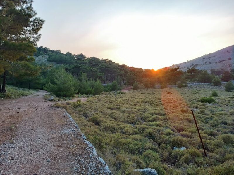 Chios: Private Sunset Hiking Tour to Lithi beach - How Much Is It Really Worth?