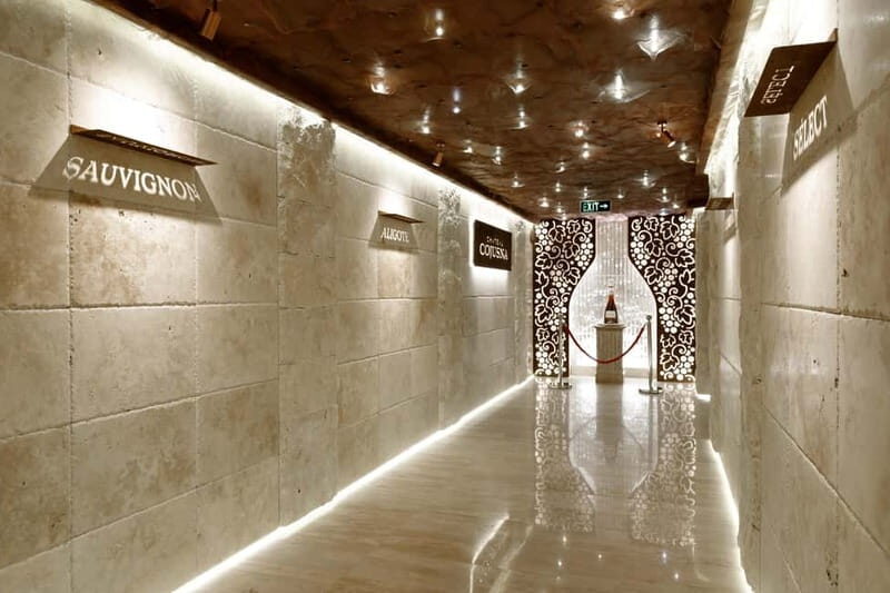 Chisinau: City Tour and Cojusna Winery with Tasting - Who This Tour Is Perfect For