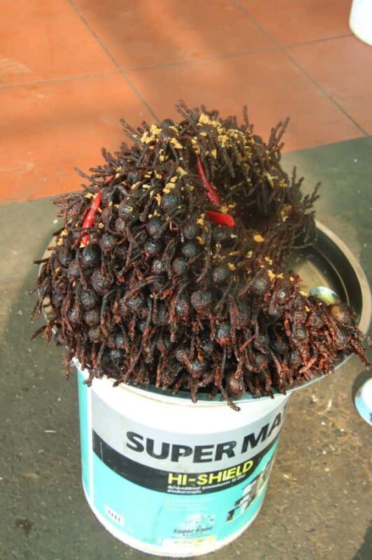 Chiso temple, Neang kmoa, and Taprum temple historical Tour - Key Points