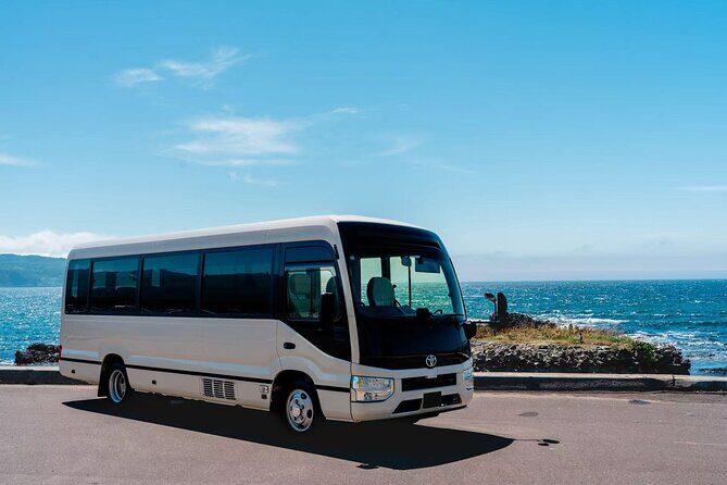 Chitose Airport to Niseko Private Bus Transfer Vice Versa - Introduction