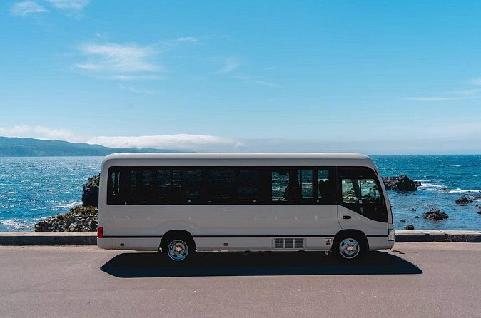 Chitose Airport to Niseko Private Bus Transfer Vice Versa - Why This Transfer Makes Sense for Different Travelers