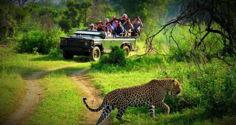 Chitwan: 1-Night Jungle Safari with Transfers from Kathmandu - Cultural Interlude: Tharu Dance Show