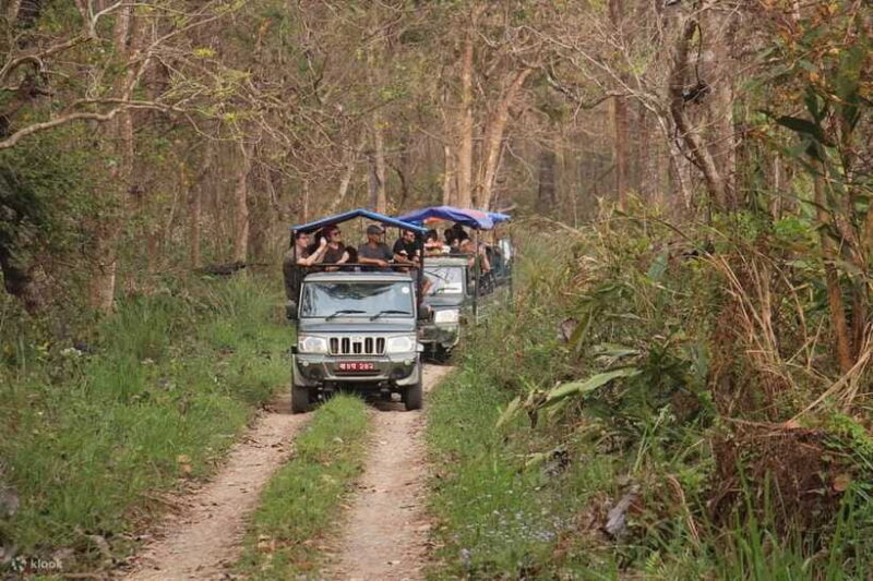 Chitwan: 1-Night Jungle Safari with Transfers from Kathmandu - Final Word