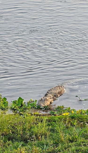 Chitwan: 2 Full day jungle walk with Canoeing all inclusive - Key Points