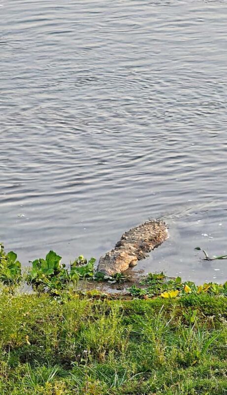 Chitwan: 3-Day Jungle Walk, Canoe Ride, and Jeep Safari back - The Value of Guided Experience and Small Groups