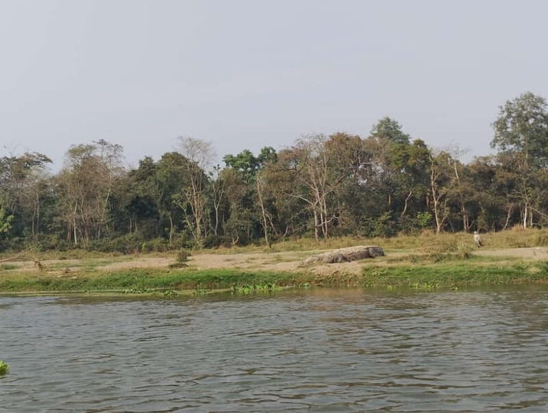 Chitwan Combo Tour: Jeep Safari, Canoeing & Jungle Walk - The Itinerary in Detail