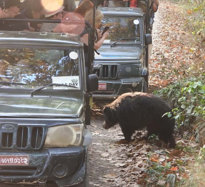Chitwan: Full-Day Safari Canoeing and Jungle Walk and Jeep - Frequently Asked Questions
