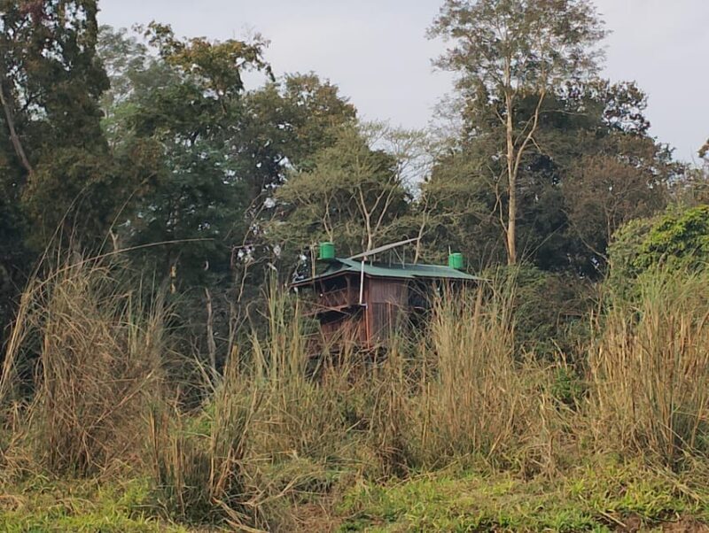 Chitwan: jungle One Night Towerstay in chitwan national park - What Do You Get for Your Money?